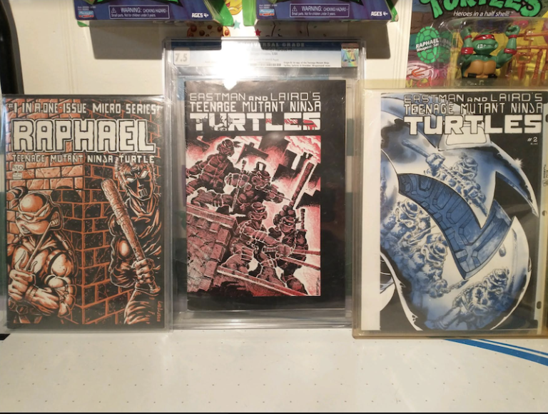 Collector of The Week - A Radical TMNT Collection - The Art of Fatherhood