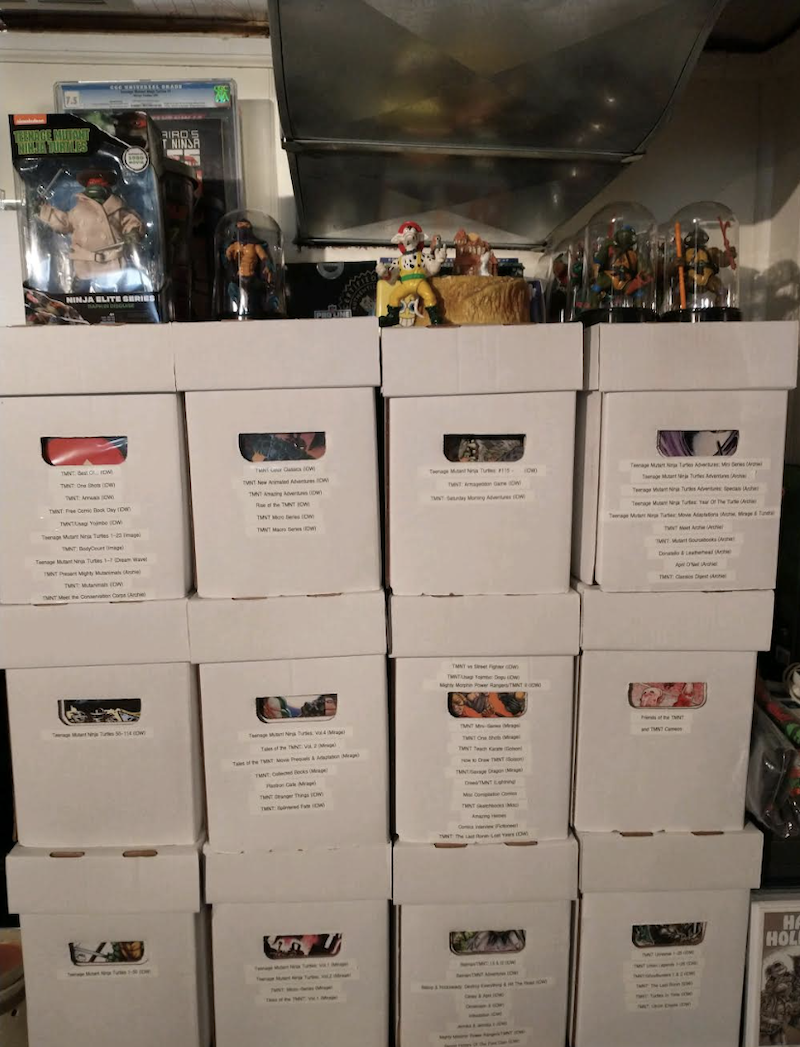 Collector of The Week - A Radical TMNT Collection - The Art of Fatherhood